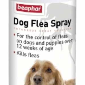 Guns | The Country Store